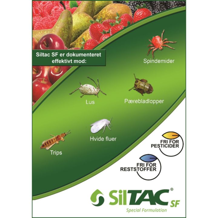 Siltac SF insektmiddel 100 ml | BAUHAUS