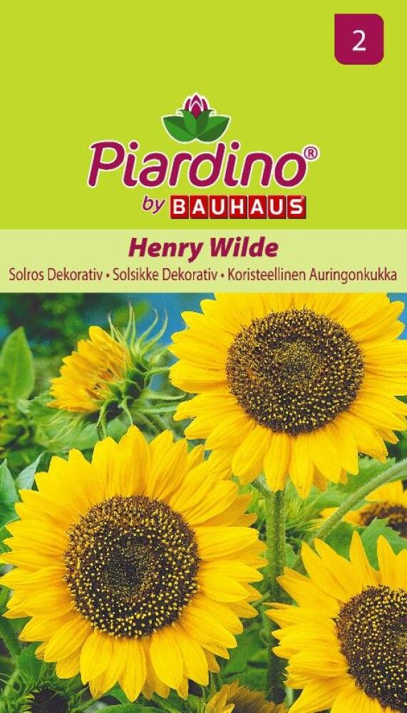 Piardino solsikke Henry Wilde | BAUHAUS