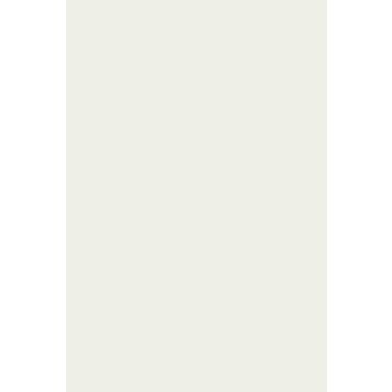 Bordplade laminat hvid 2600x600x28 mm | BAUHAUS